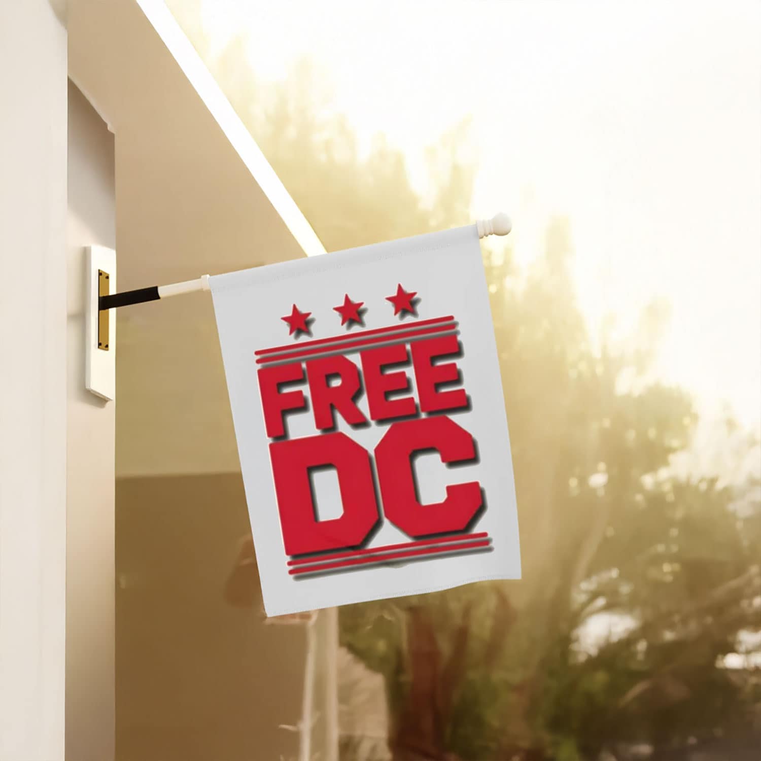 Free DC Political Flag – Washington DC Statehood Protest Banner - Free DC